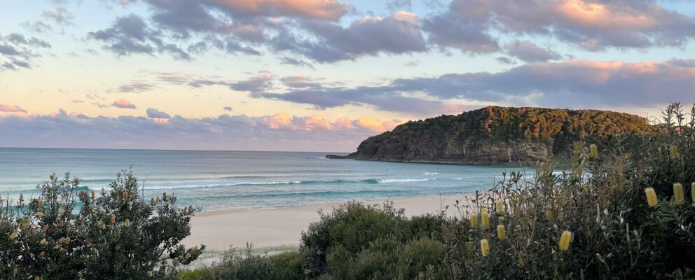 Pacific Palms Holidays - Discover Blueys Beach, Boomerang Beach, Seal ...