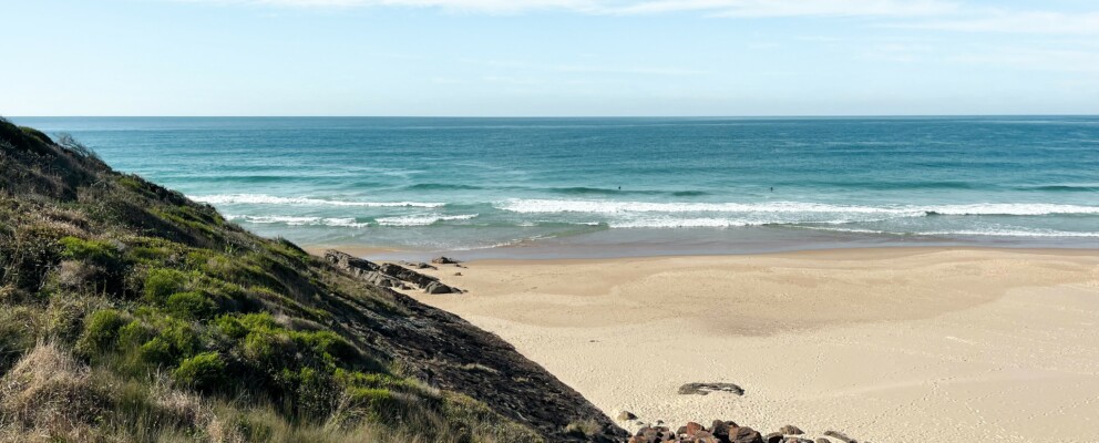 Pacific Palms Holidays - Discover Blueys Beach, Boomerang Beach, Seal ...