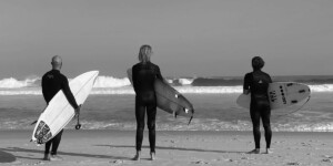 Pacific Palms Holidays - Discover Blueys Beach, Boomerang Beach, Seal ...