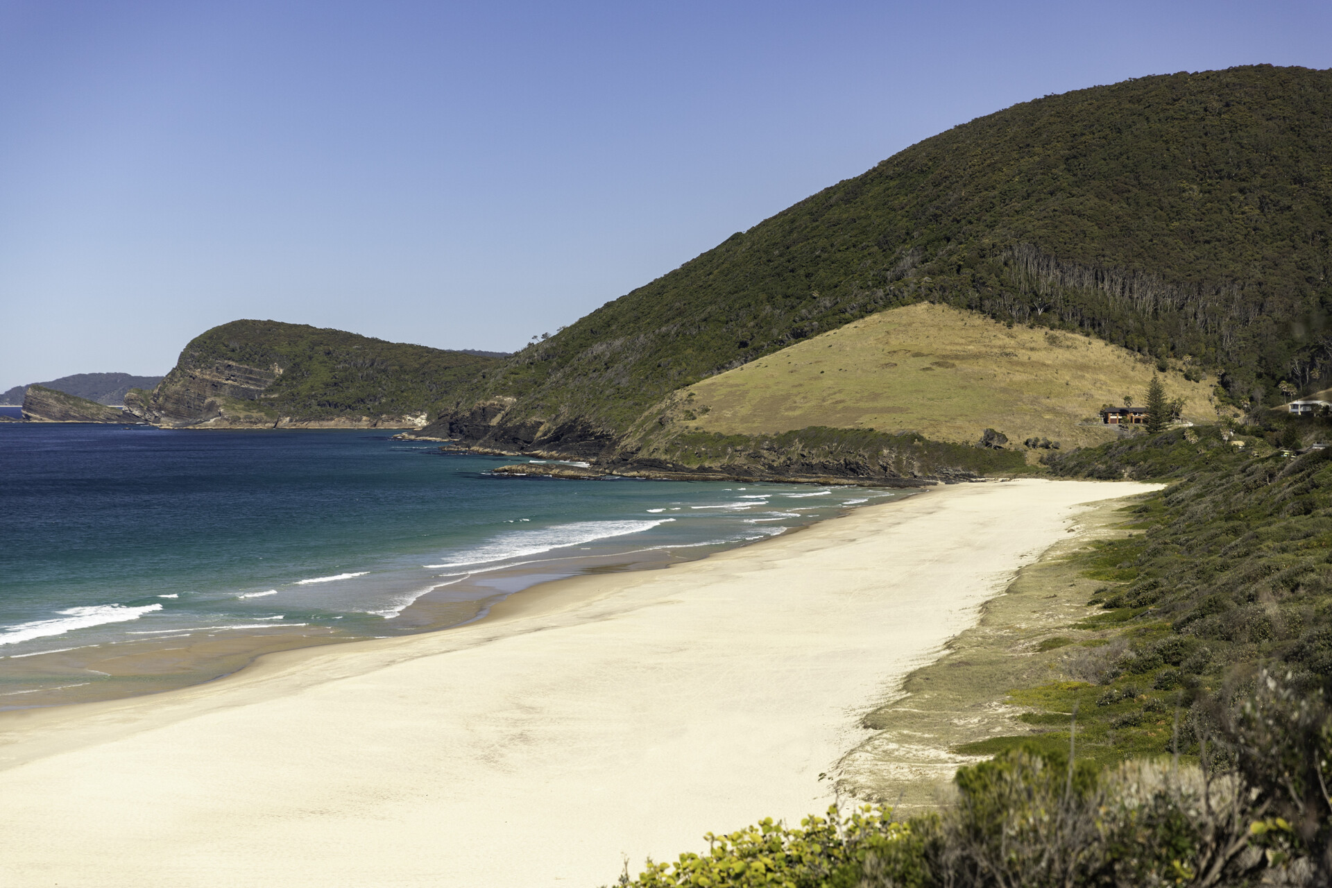 Pacific Palms Holidays - Discover Blueys Beach, Boomerang Beach, Seal ...